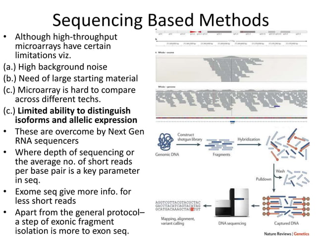 Next generation sequencing methods | PPTX | Chemistry | Science