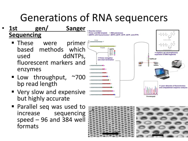 Next generation sequencing methods | PPTX | Chemistry | Science