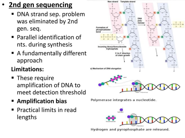 Next generation sequencing methods | PPTX | Chemistry | Science