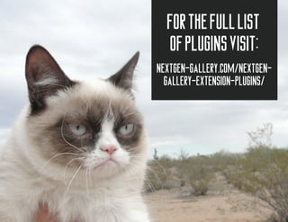 NextGEN Gallery Presentation | PPT