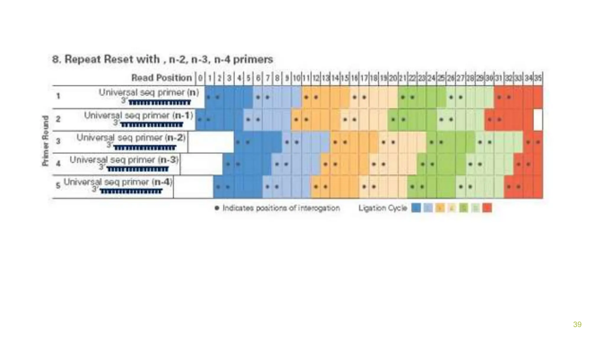 next generation sequencing strategies..pptx