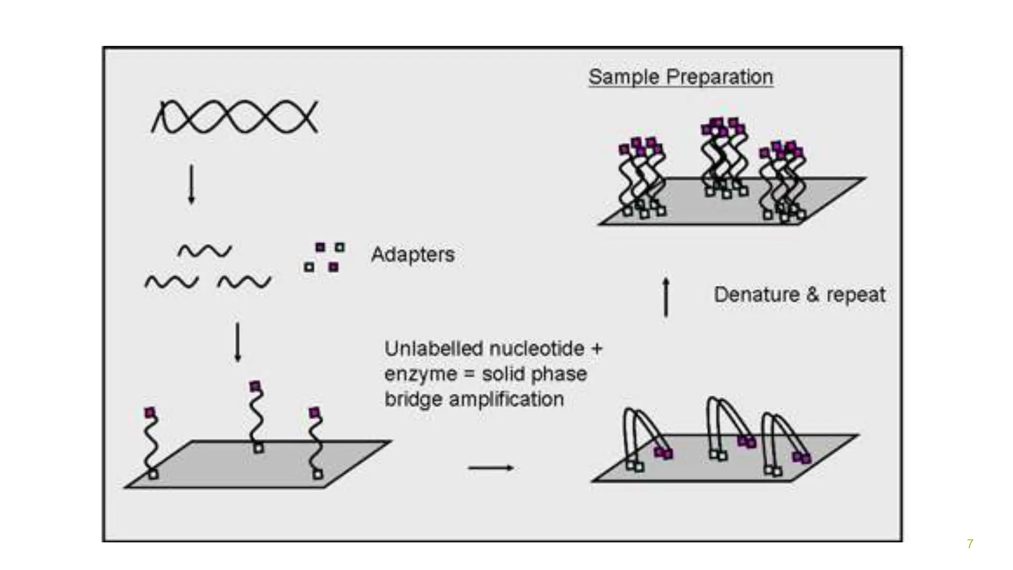 next generation sequencing strategies..pptx