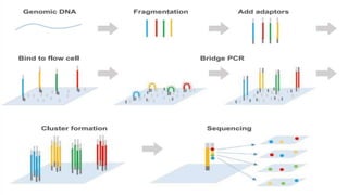 next generation sequencing strategies..pptx