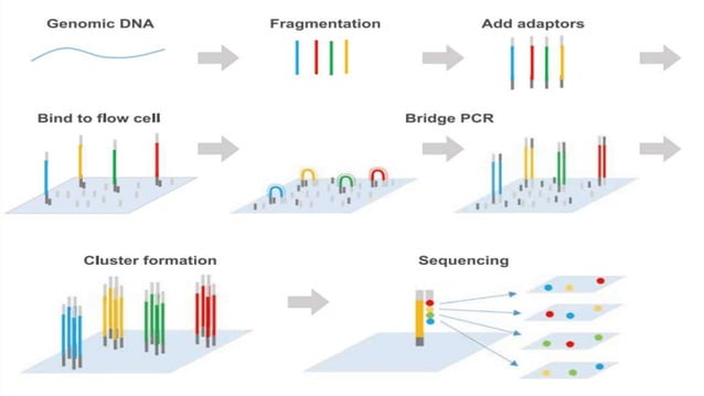 next generation sequencing strategies..pptx