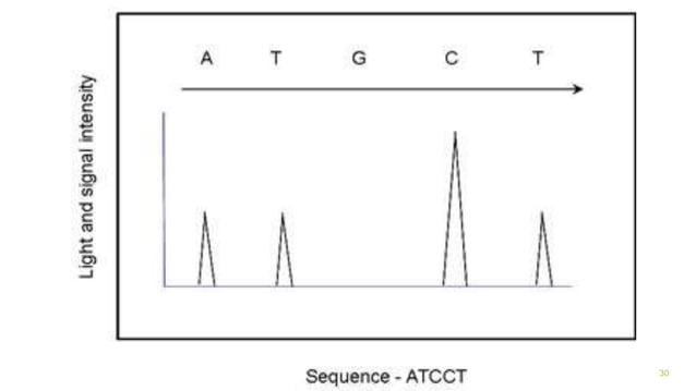 next generation sequencing strategies..pptx