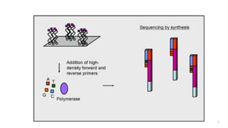 next generation sequencing strategies..pptx