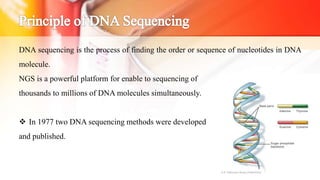 Next Generation Sequencing | PPTX | Chemistry | Science