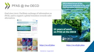 Next steps of polymeric PFAS at the OECD and summary of past work on polymers of low concern | PDF
