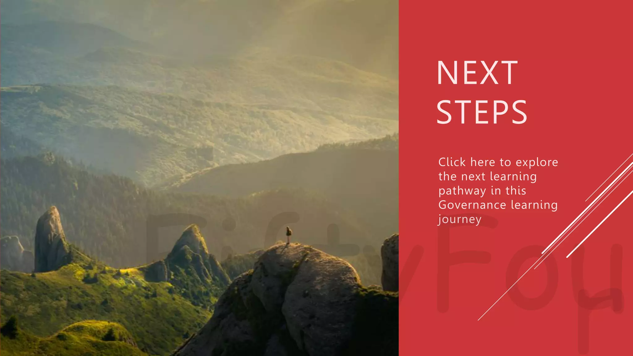 Governance Next Steps Slide_one slide | PPTX