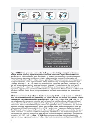 IPBES Nexus Assessment Report SPM december 2024 | PDF