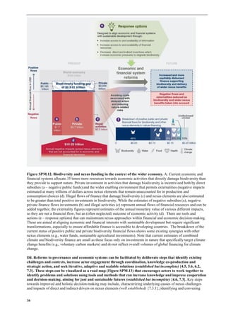 IPBES Nexus Assessment Report SPM december 2024 | PDF