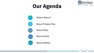 Nexus Framework | PDF