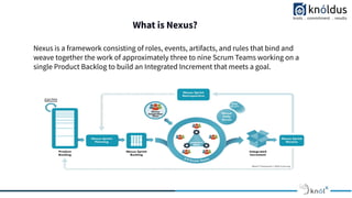 Nexus Framework | PDF
