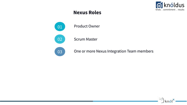 Nexus Framework | PDF