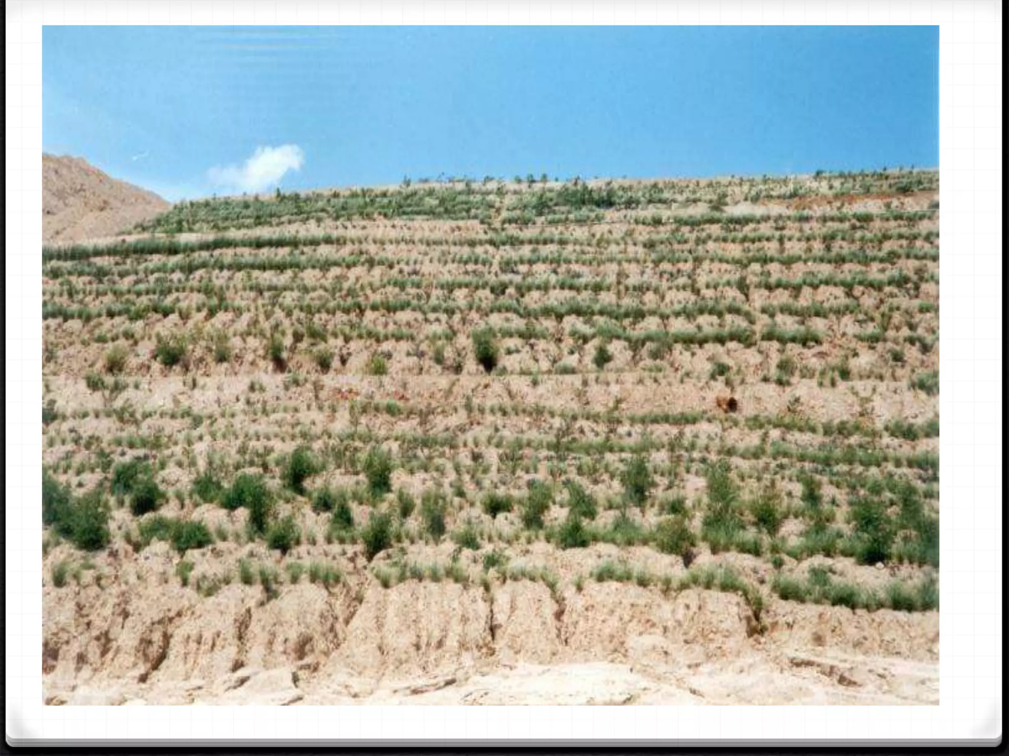 Neyveli lignite corporation | PPTX