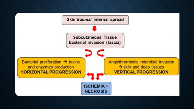 necrotizing soft tissue infection vs cellulitis | PPTX | Infectious ...