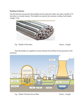 Nuclear Fuel complex | PDF