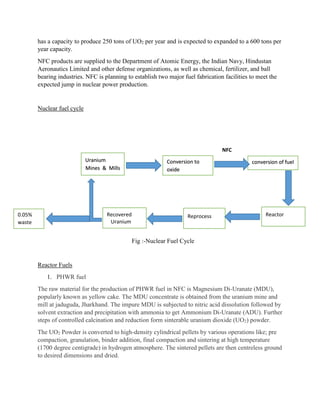 Nuclear Fuel complex | PDF