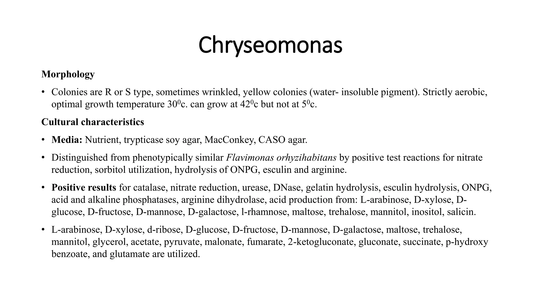 Non-Fermentative Gram negative bacilli | PPTX