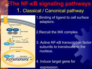 "NF-kB " Pathway: Nuclear Factor Kappa Beta | PPT