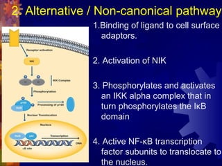 "NF-kB " Pathway: Nuclear Factor Kappa Beta | PPT