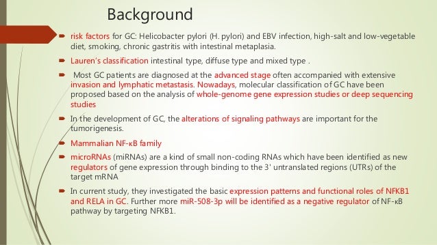 Complete Type Intestinal Metaplasia Diet - trackergarden
