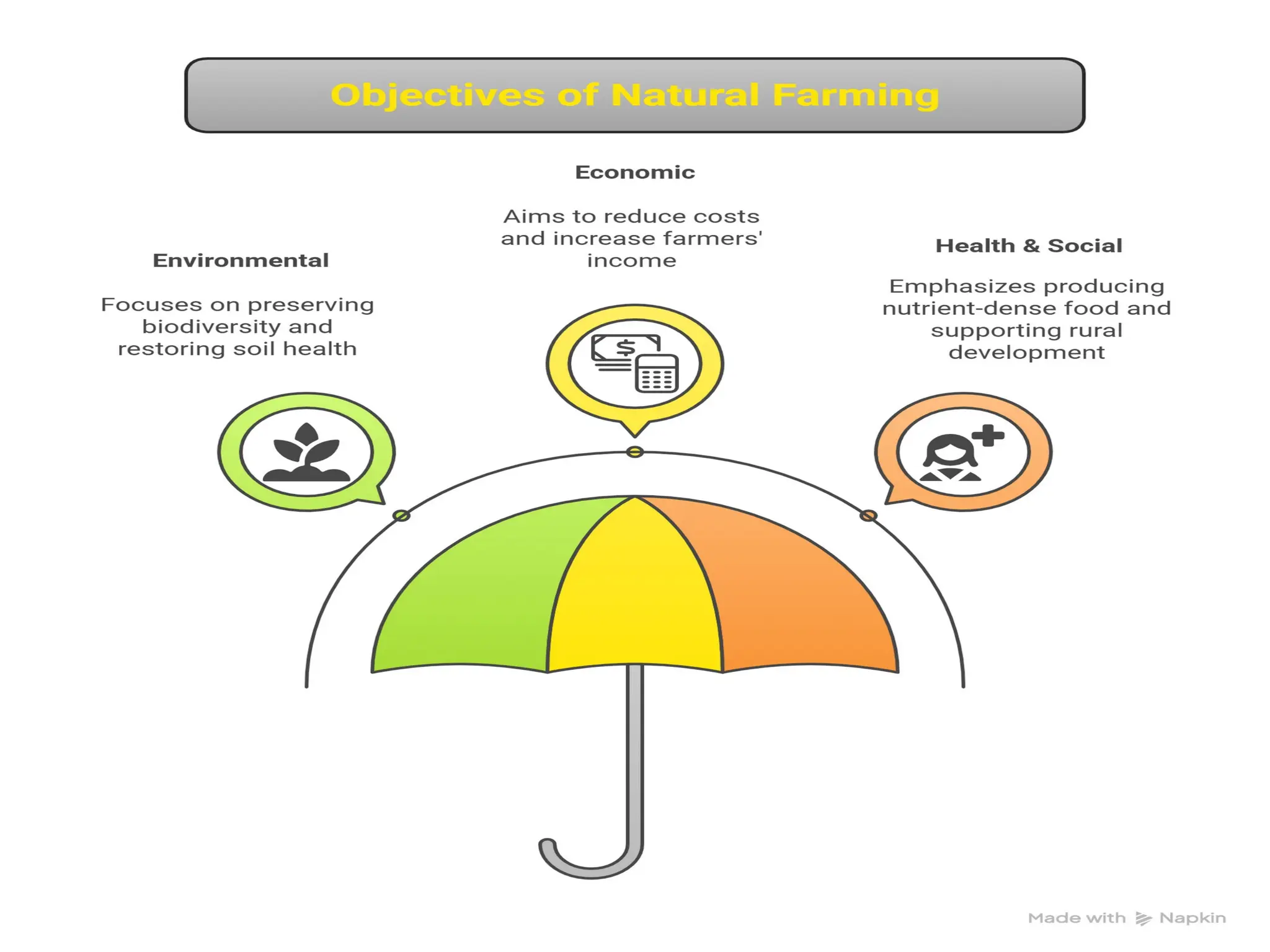Definition, Objectives, Essential Characteristics, and Principles of ...