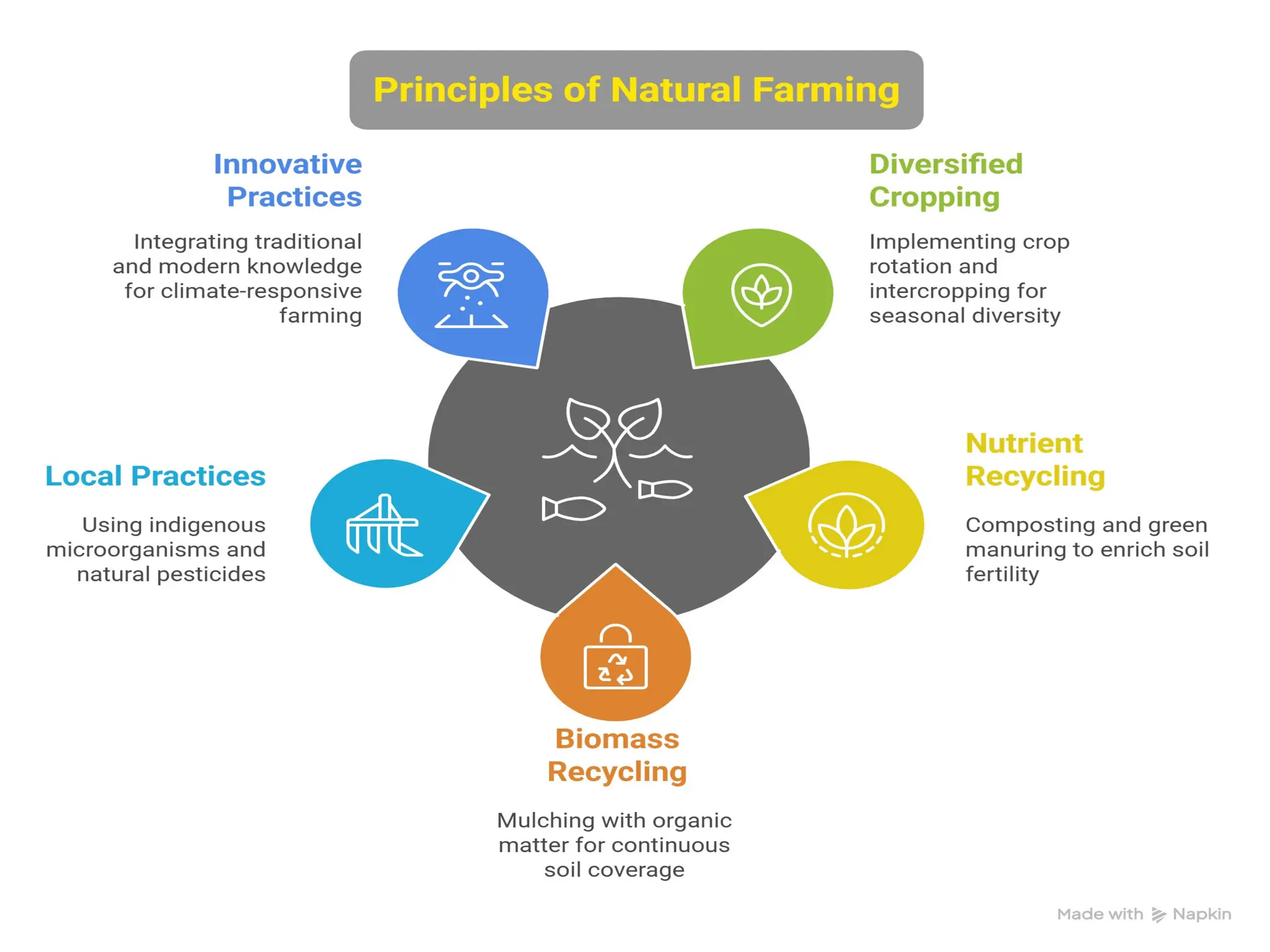 Definition, Objectives, Essential Characteristics, and Principles of ...