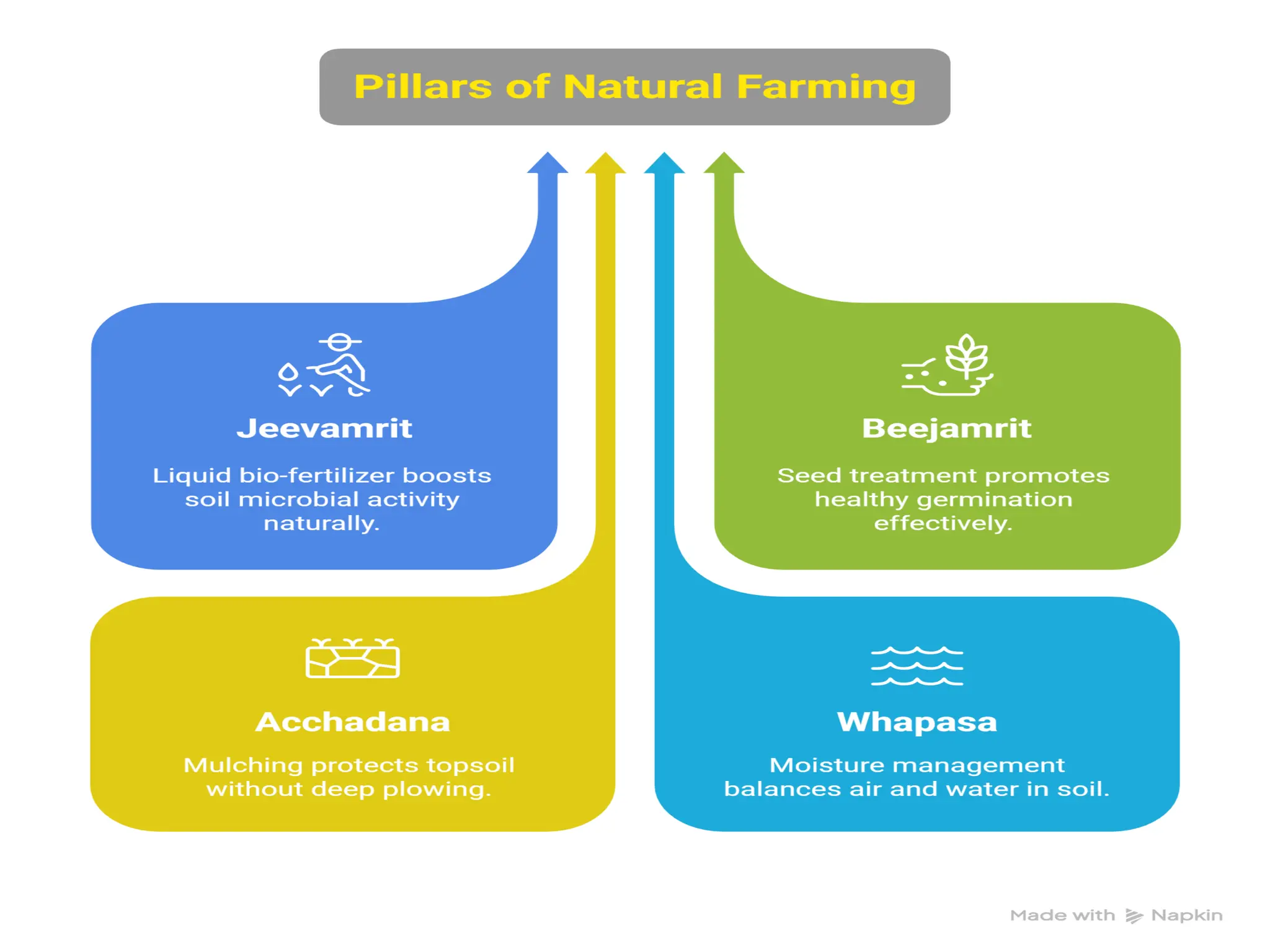 Definition, Objectives, Essential Characteristics, and Principles of ...