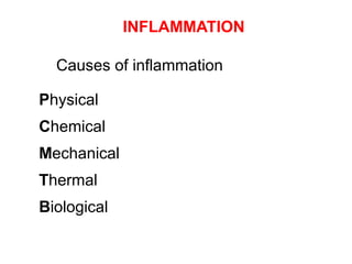 INFLAMMATION PHYSIOLOGY | PDF