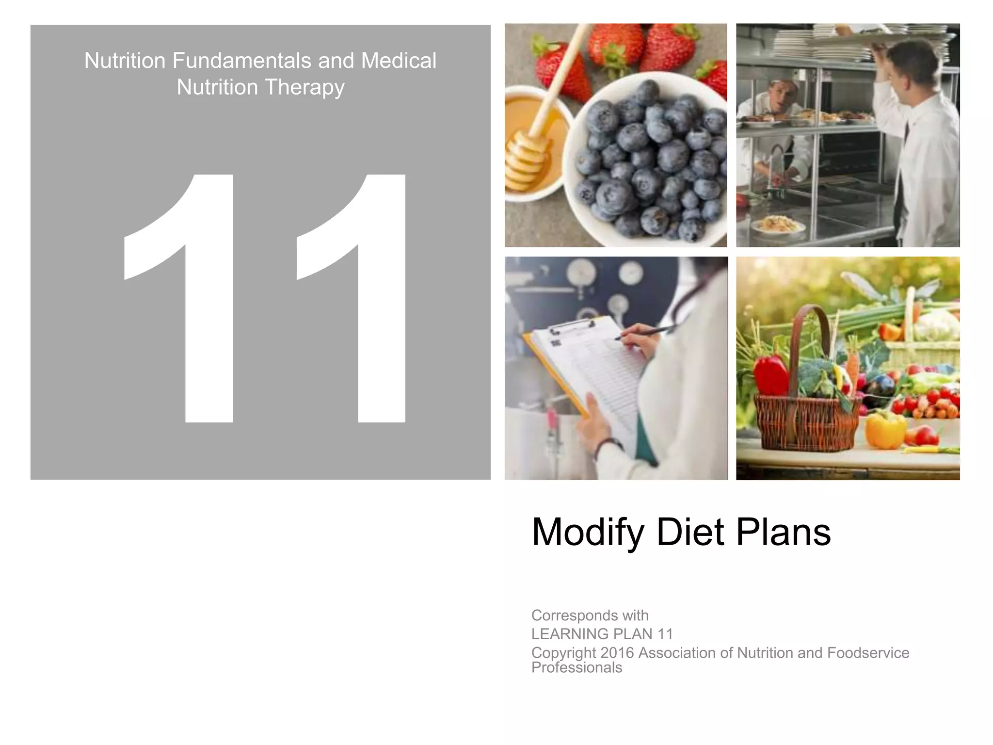 NFMNT Chapter 11 Modify Diet Plans | PPTX