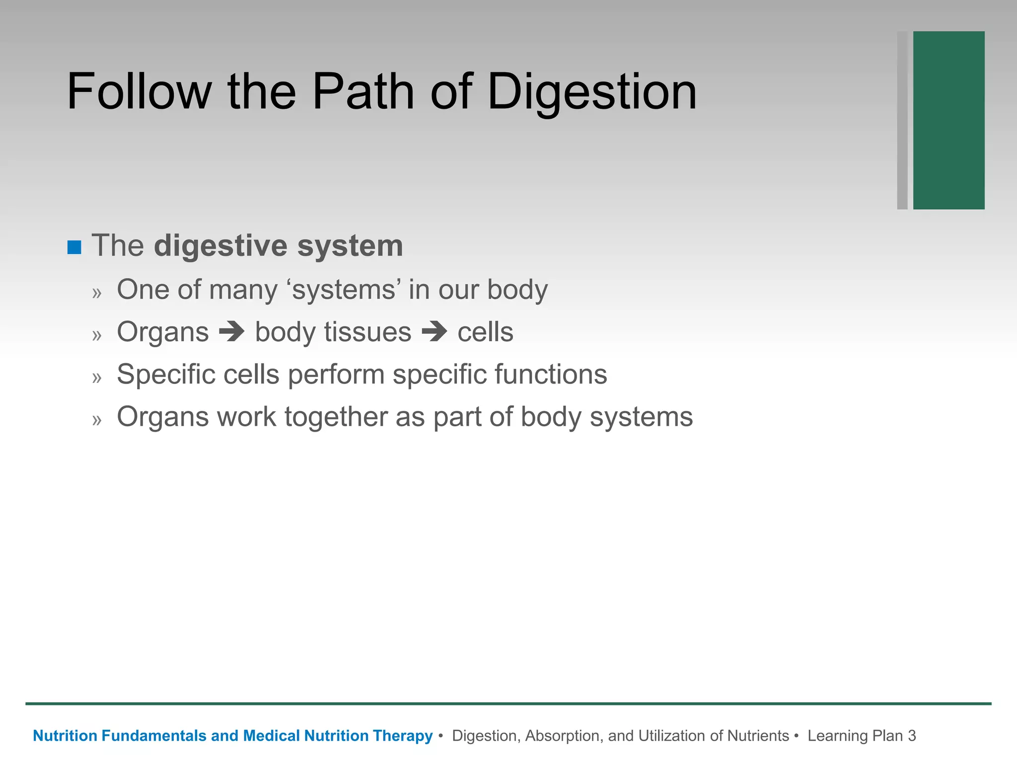 NFMNT Chapter 3 Digestion, Absorption, and Utilization of Nutrients | PPTX