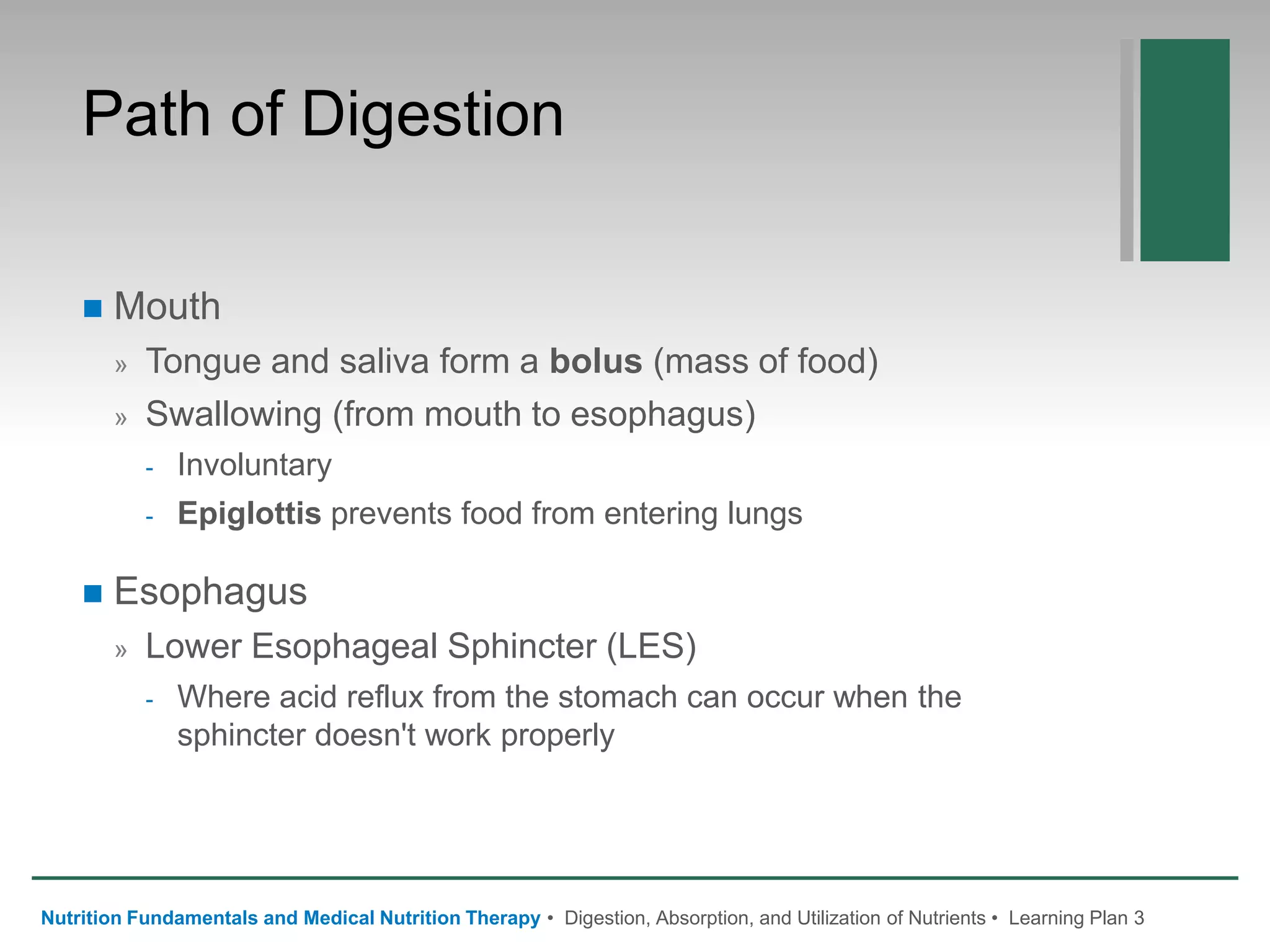 NFMNT Chapter 3 Digestion, Absorption, and Utilization of Nutrients | PPTX