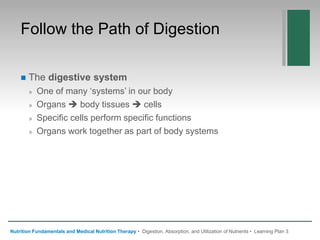 NFMNT Chapter 3 Digestion, Absorption, and Utilization of Nutrients | PPTX