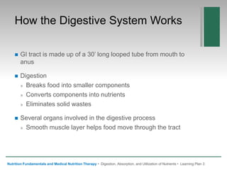 NFMNT Chapter 3 Digestion, Absorption, and Utilization of Nutrients | PPTX