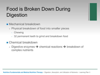 NFMNT Chapter 3 Digestion, Absorption, and Utilization of Nutrients | PPTX