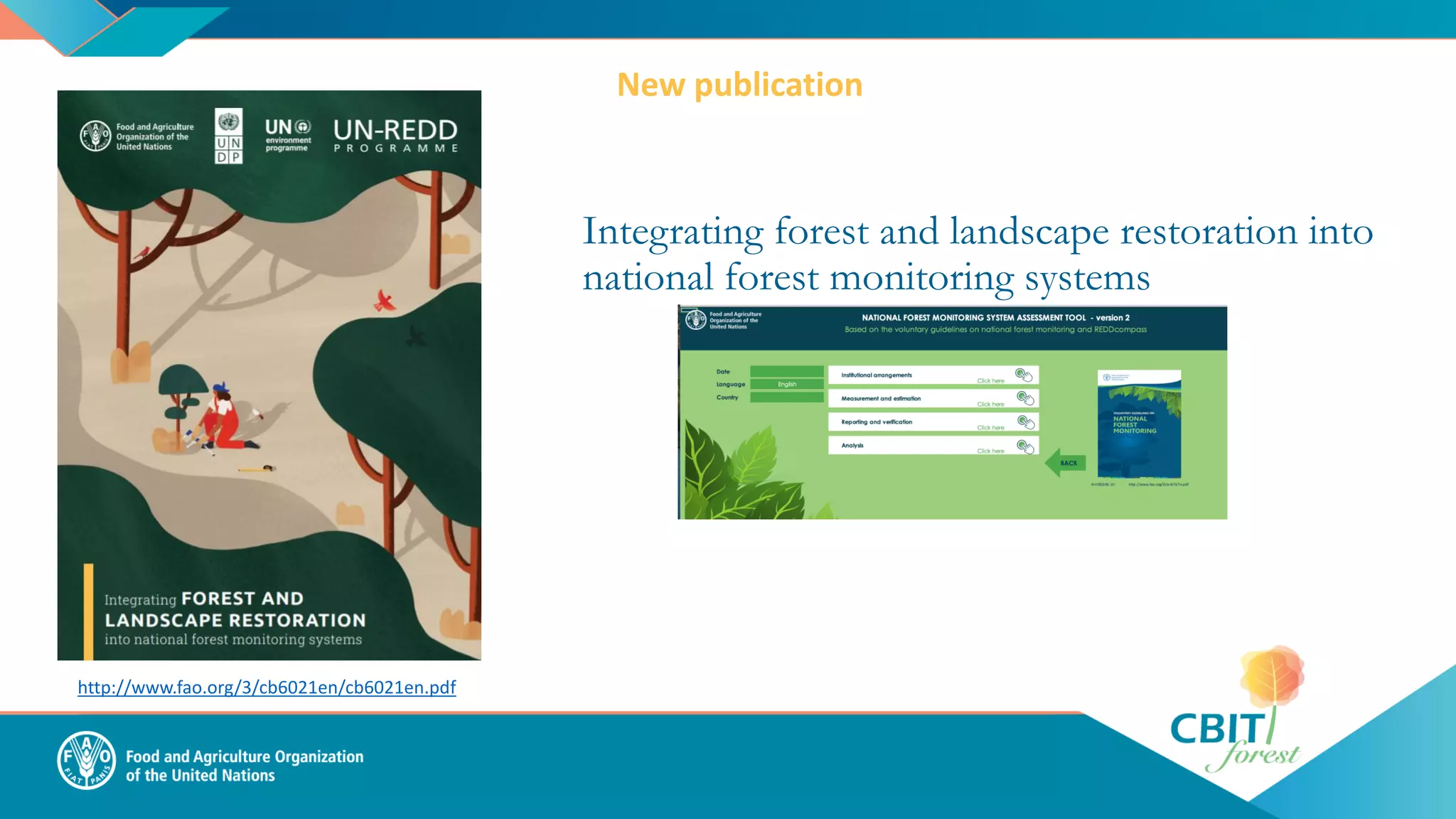Nfms tool en_indonesia | PDF