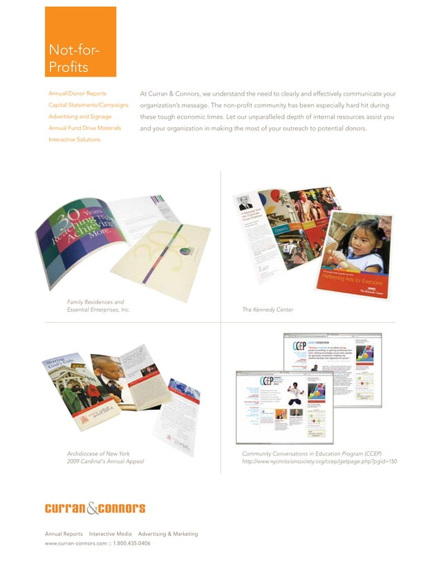 Non-Profit Case Study Brief | PDF