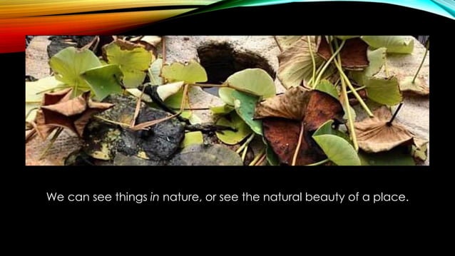 Talking naturally about_nature | PPT
