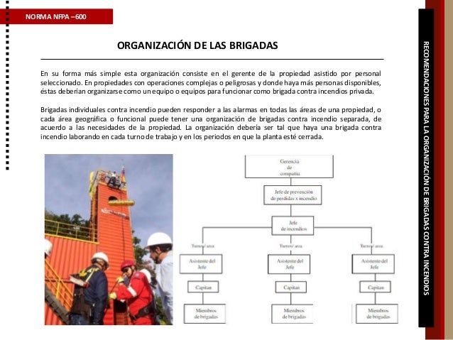 Brigada De Salvamento Mapa Conceptual - shibaswap