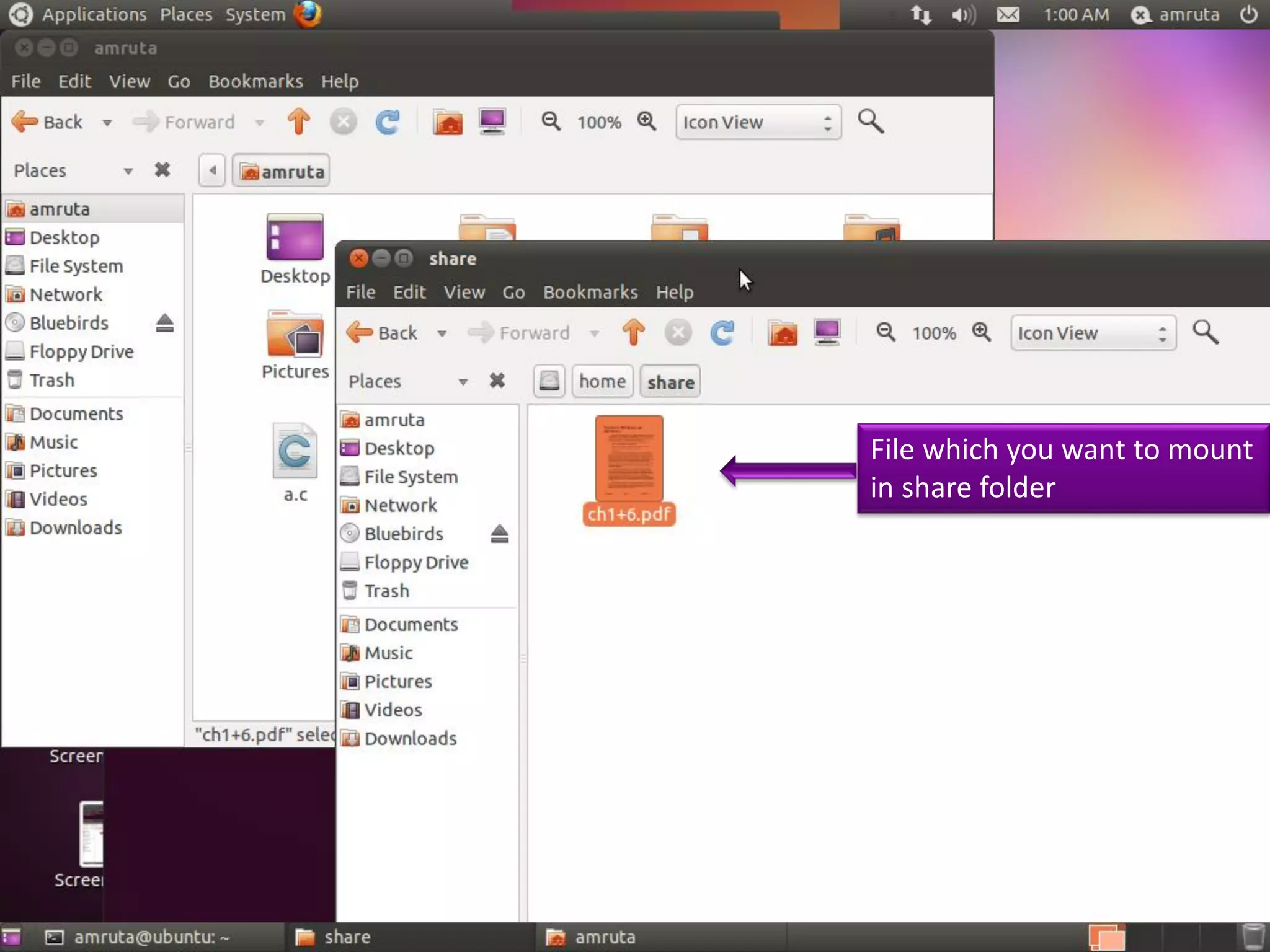 Nfsnetwork File System Pdf Operating Systems Computer Software 1113
