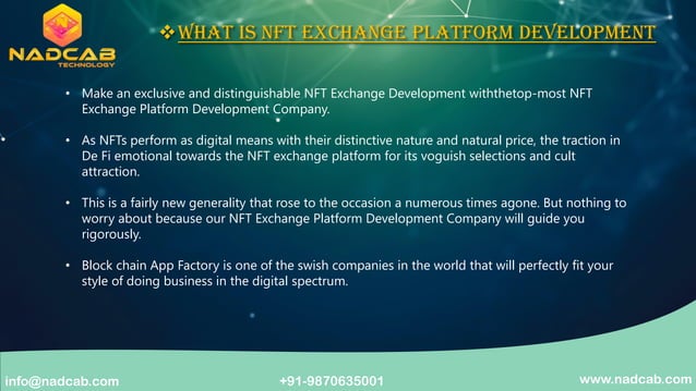 NFT EXCHANGE PLATFORM DEVELOPMENT PDF.pdf