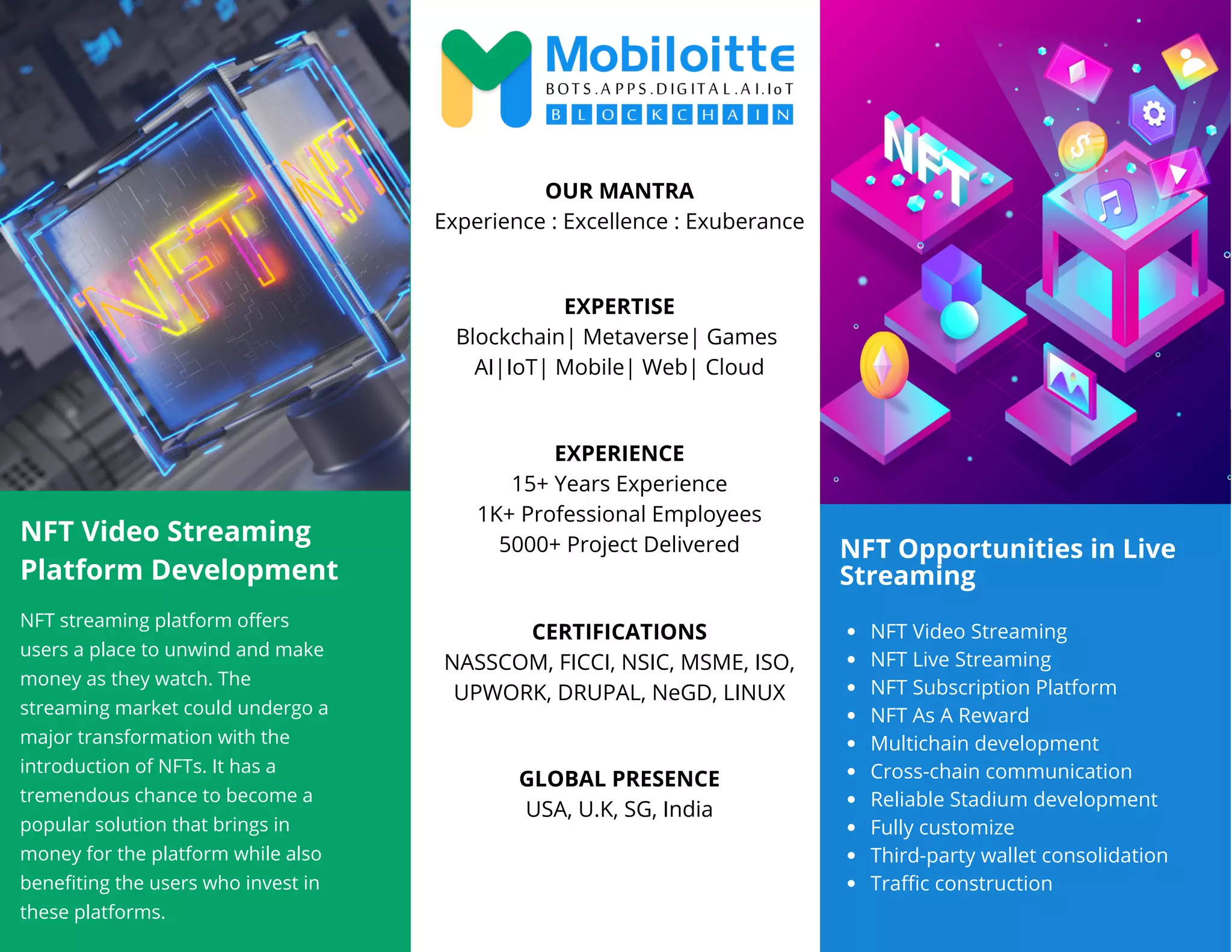 NFT Video Streaming Platform Development | PPT