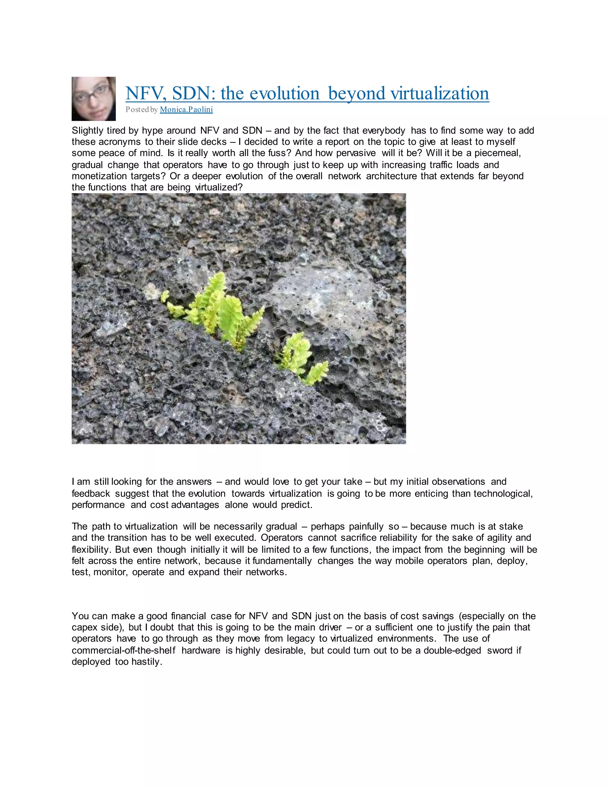 NFV, SDN: the evolution beyond virtualization | DOCX