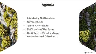 Introduction to NetGuardians' Big Data Software Stack | PPT