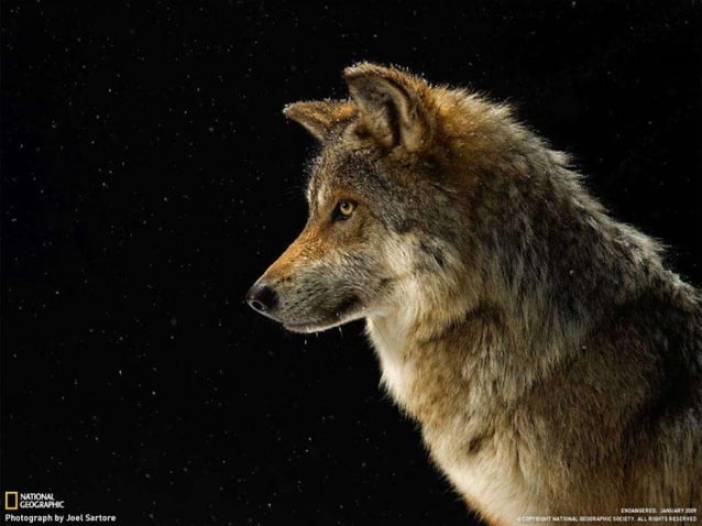 National Geografic 2009-visions of the earth | PPS