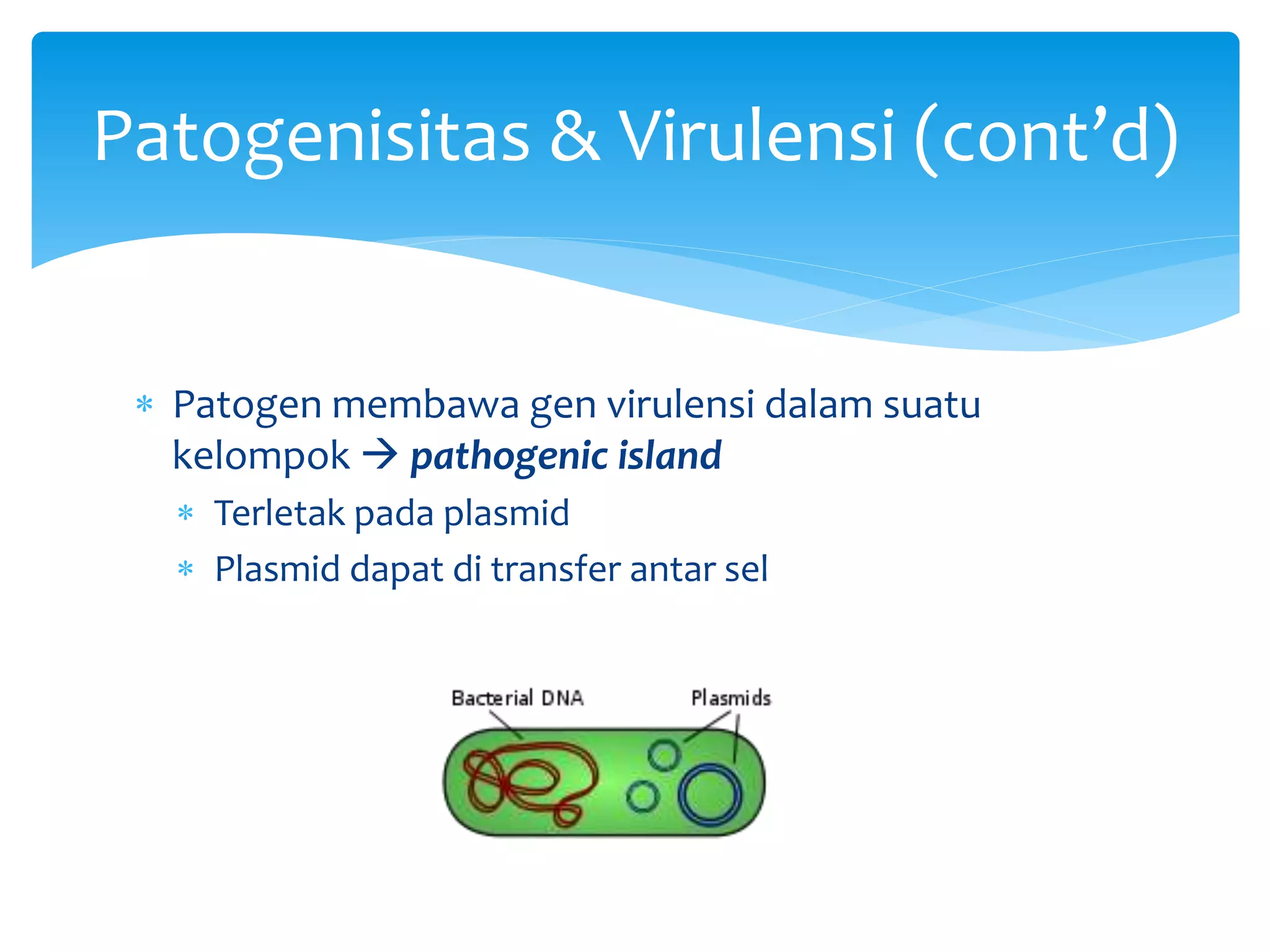 Bakteri patogen | PPTX