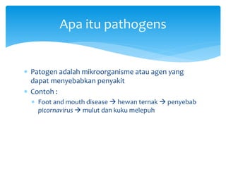 Bakteri patogen | PPTX