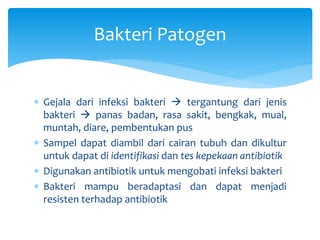 Bakteri patogen | PPTX