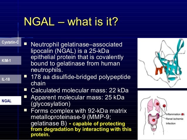 NGAL - Acute kidney injury biomarker